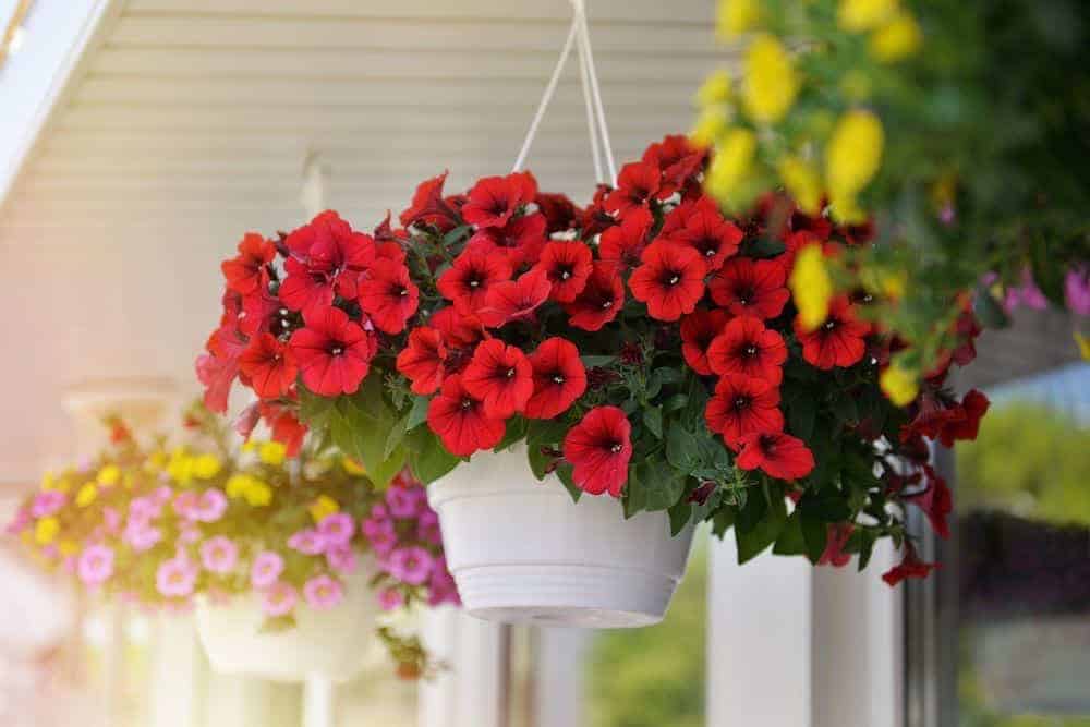 DIY Front Yard Landscaping Ideas On A Budget 1001 Gardens diy-front-yard-landscaping-ideas-on-a-budget-1001-gardens
